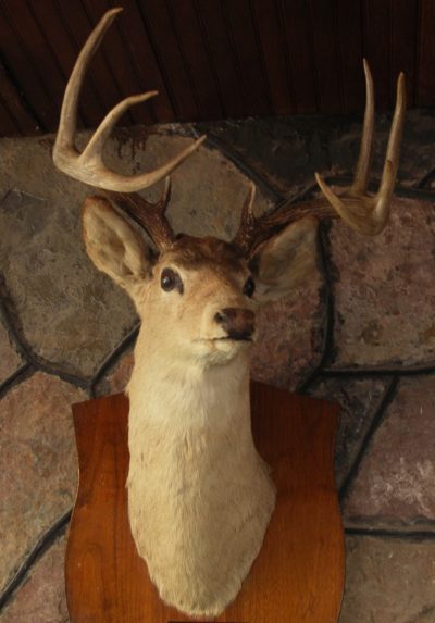 Hours and Directions – Blue Stone Inn Restaurant